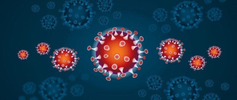 Covid19 Management, The FLCCC Protocols | Integrative Medicine Center ...